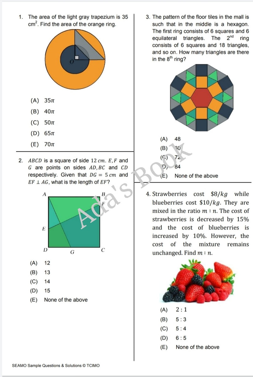 SEAMO Past Competitions 2021 Edition Paper E(15-16 Years old)-Olympiad ...